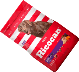 Favel | Abarrotes para mayoristas y minoristas